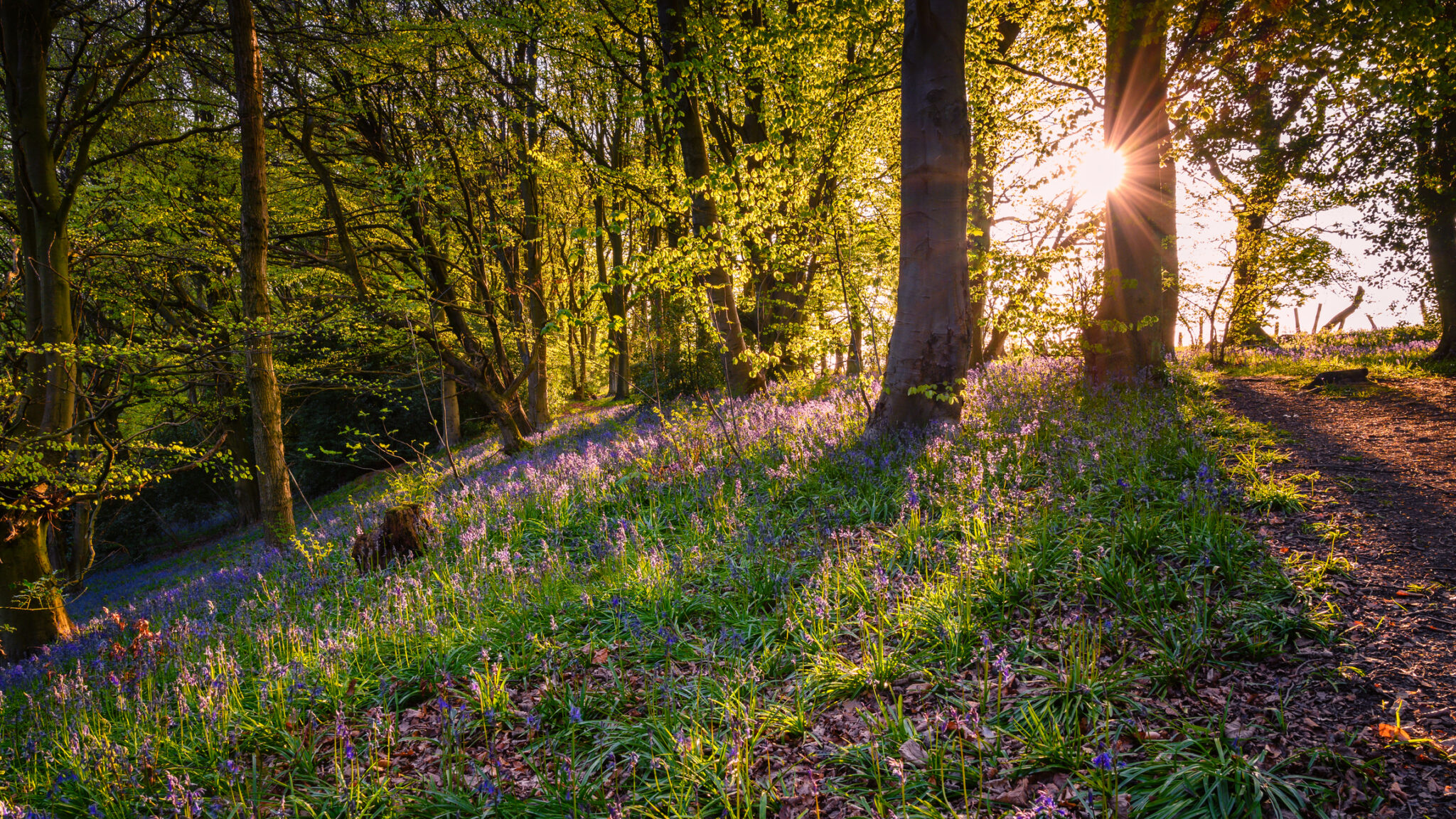 Simpson Park, Bassetlaw | Stonebridge